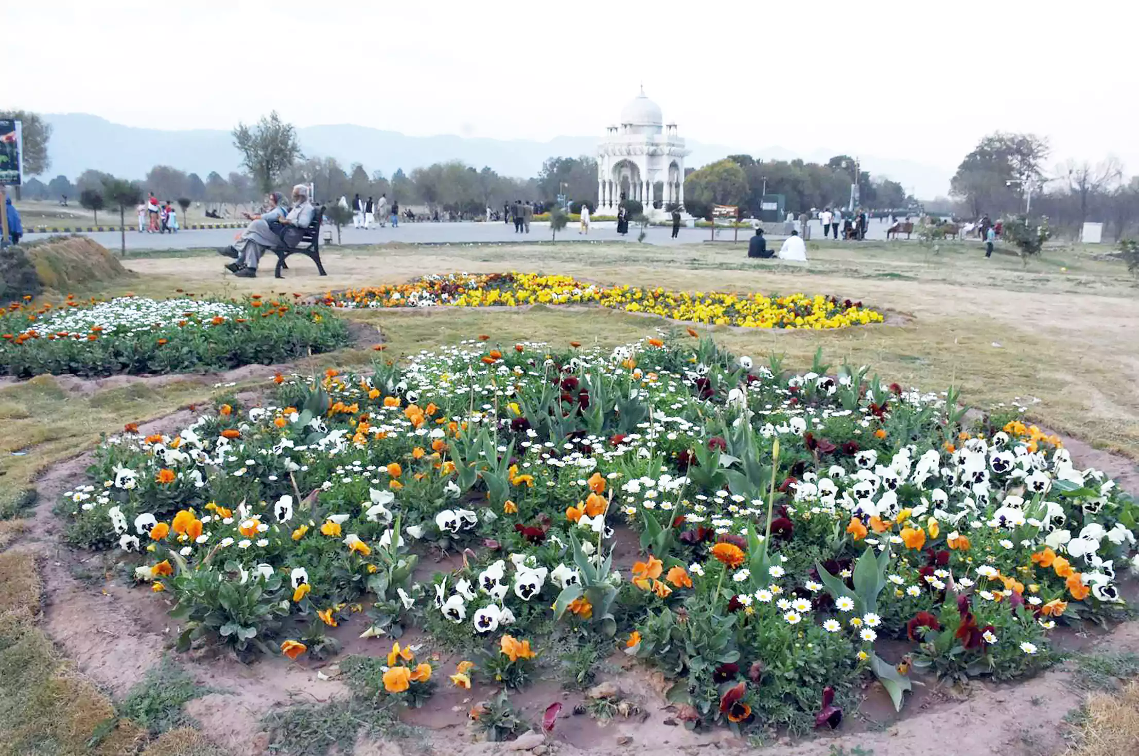 CDA plants over 150,000 saplings - Pakistan Observer