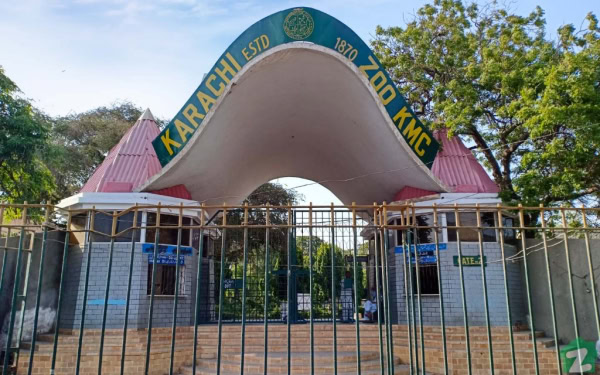 No food for Karachi Zoo animals for second day amid funds tussle ...