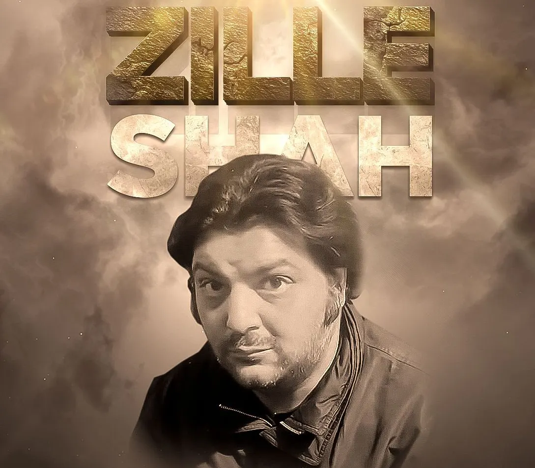 Court grants bail to two accused in Zille Shah death case - Pakistan Observer