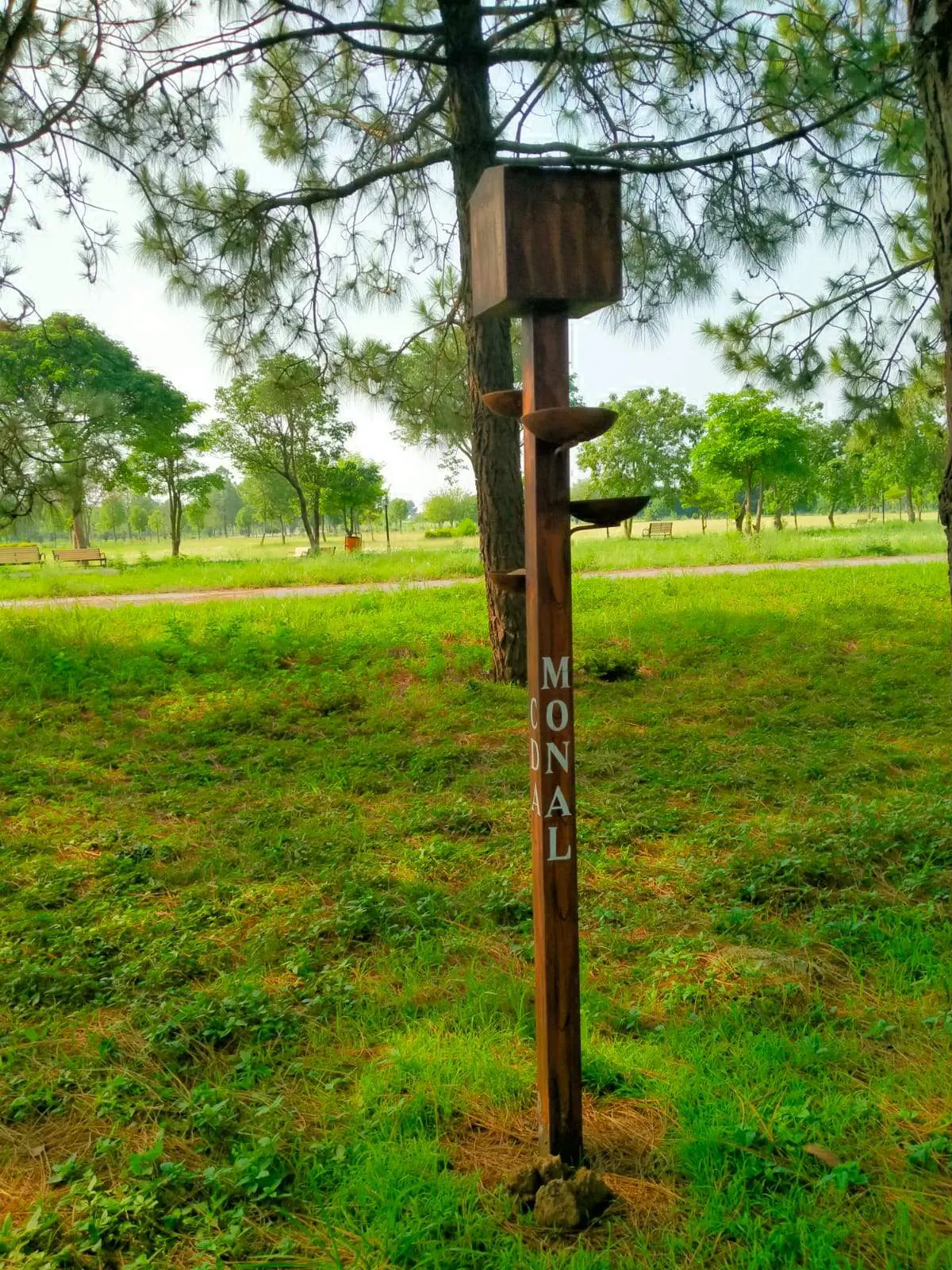 Park visitors glad to find unique ‘feeding & nesting poles’ for birds ...