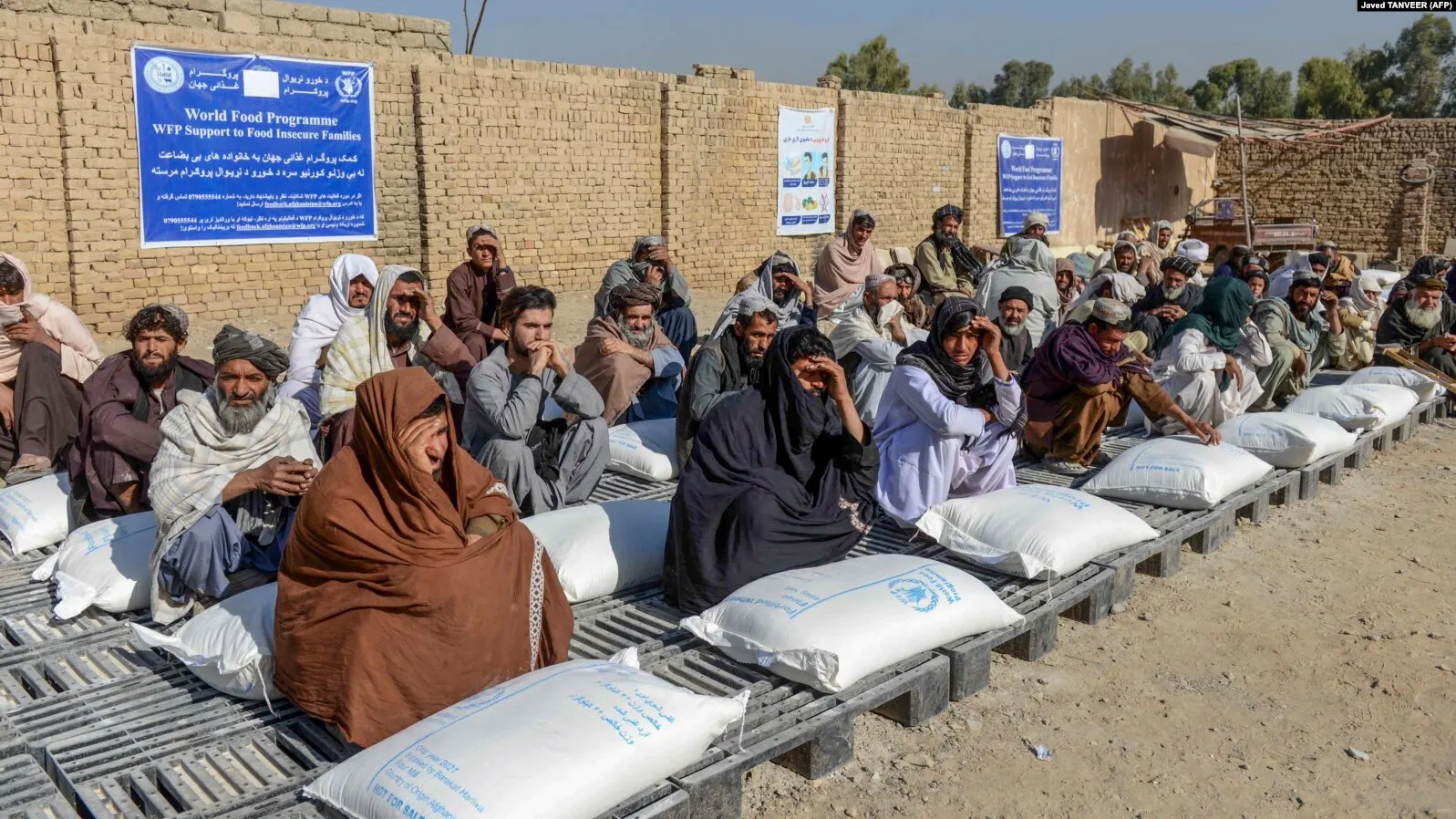 UN food agency cuts rations to 2 million Afghans as funds dry up ...