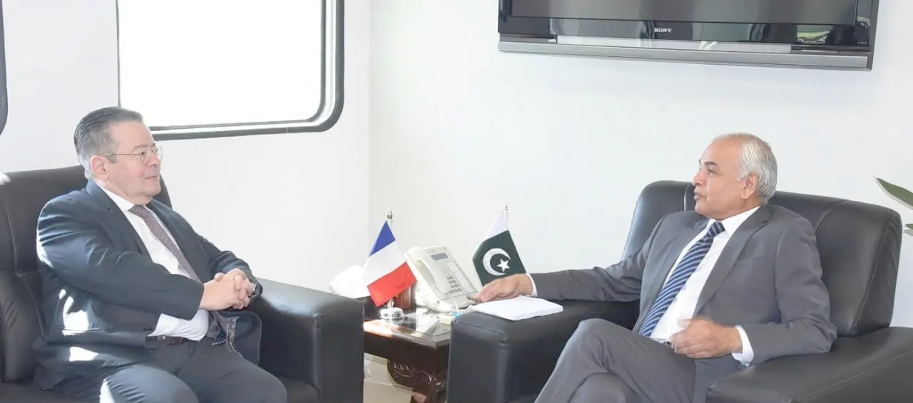 Pakistan, France discuss investment opportunities in key sectors ...