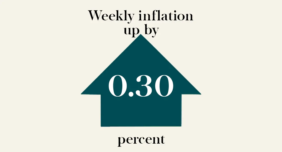 Weekly inflation goes up by 0.30 percent - Pakistan Observer