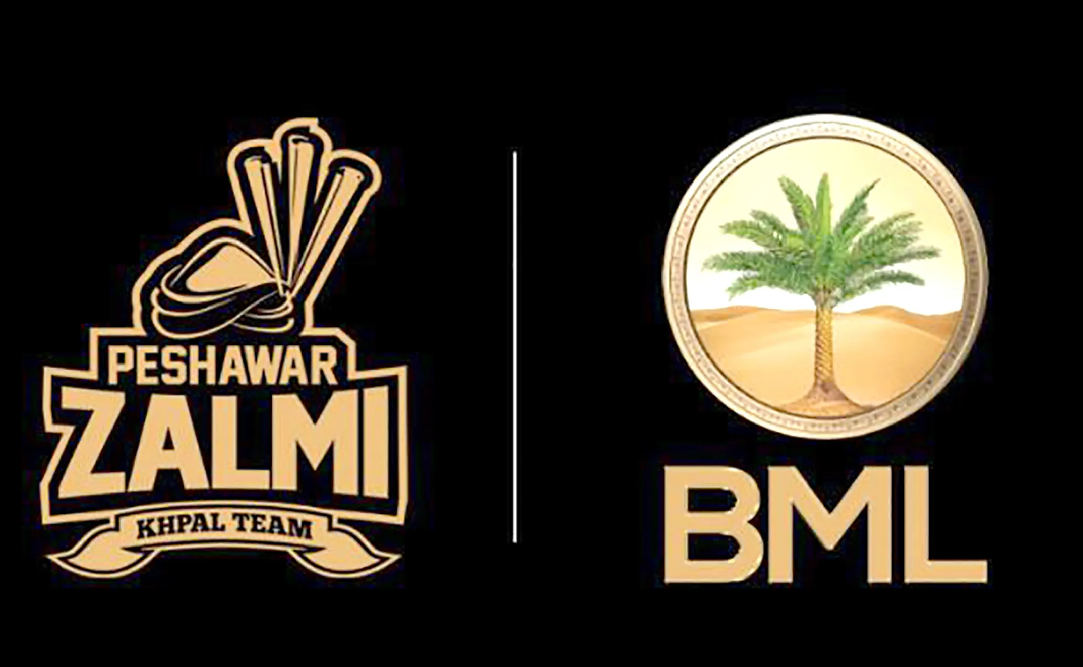 Peshawar Zalmi embraces Bank Makramah Limited as official banking partner for HBL PSL-9 ...