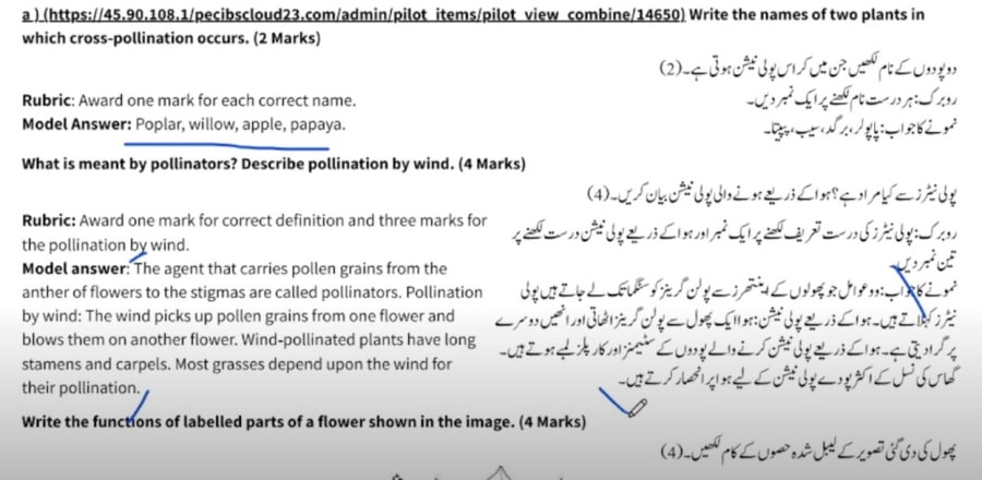 School Based Assessment SBA 2024 for Grade 7: Check all details here ...