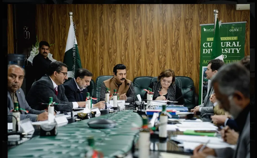 Pakistani climate conducive to olive cultivation, large-scale ...