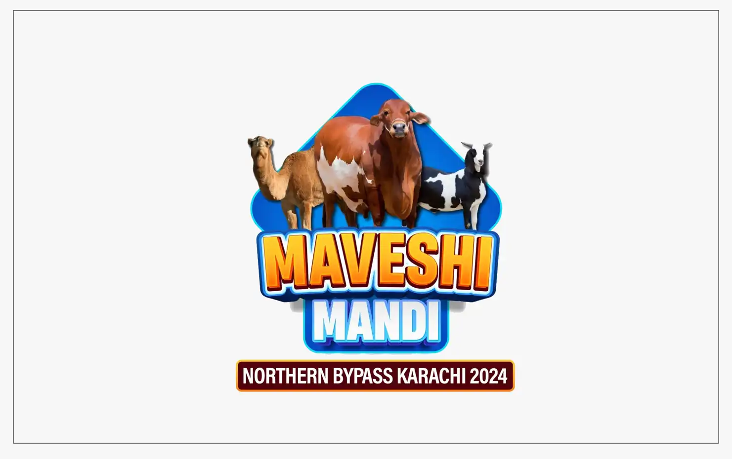 Karachi's cattle market leads the way with progressive solutions - Pakistan Observer