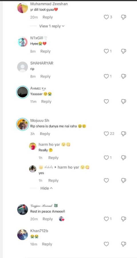 Shera TikToker Death; Here's what we know about tragic accident ...