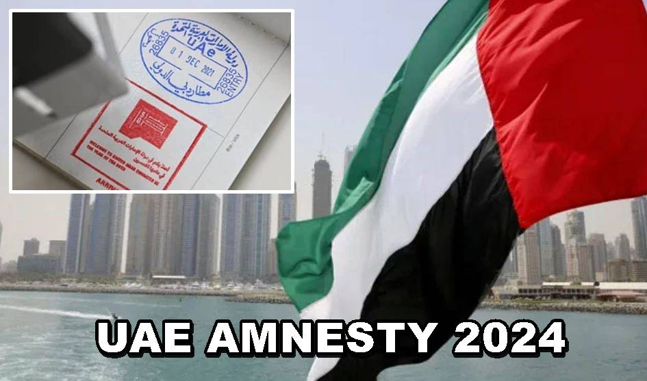 How to legally Work in UAE after recent Residency Amnesty Process Update - Pakistan Observer