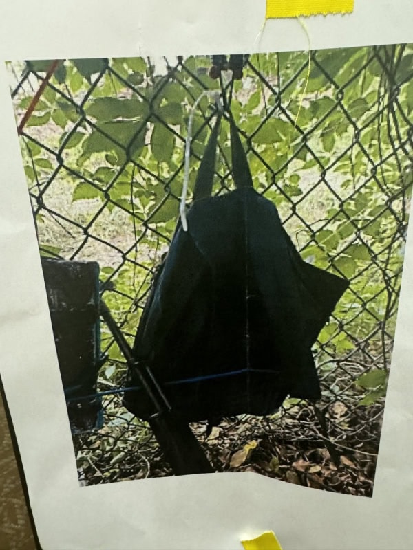 Who is Ryan Wesley Routh? The key suspect in 'Trump Assassination ...