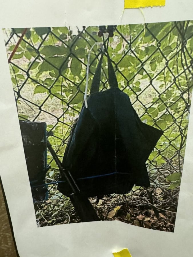 Who is Ryan Wesley Routh? The key suspect in 'Trump Assassination ...