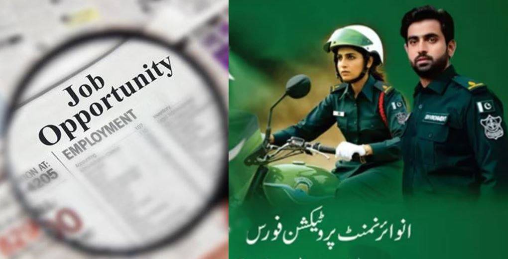 Jobs 2025: Join Punjab Environment Force as Inspector, Field Assistant ...