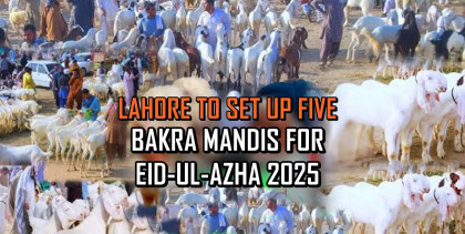 Lahore’s Eid-ul Azha 2025 Cattle Market Locations finalized; full ...