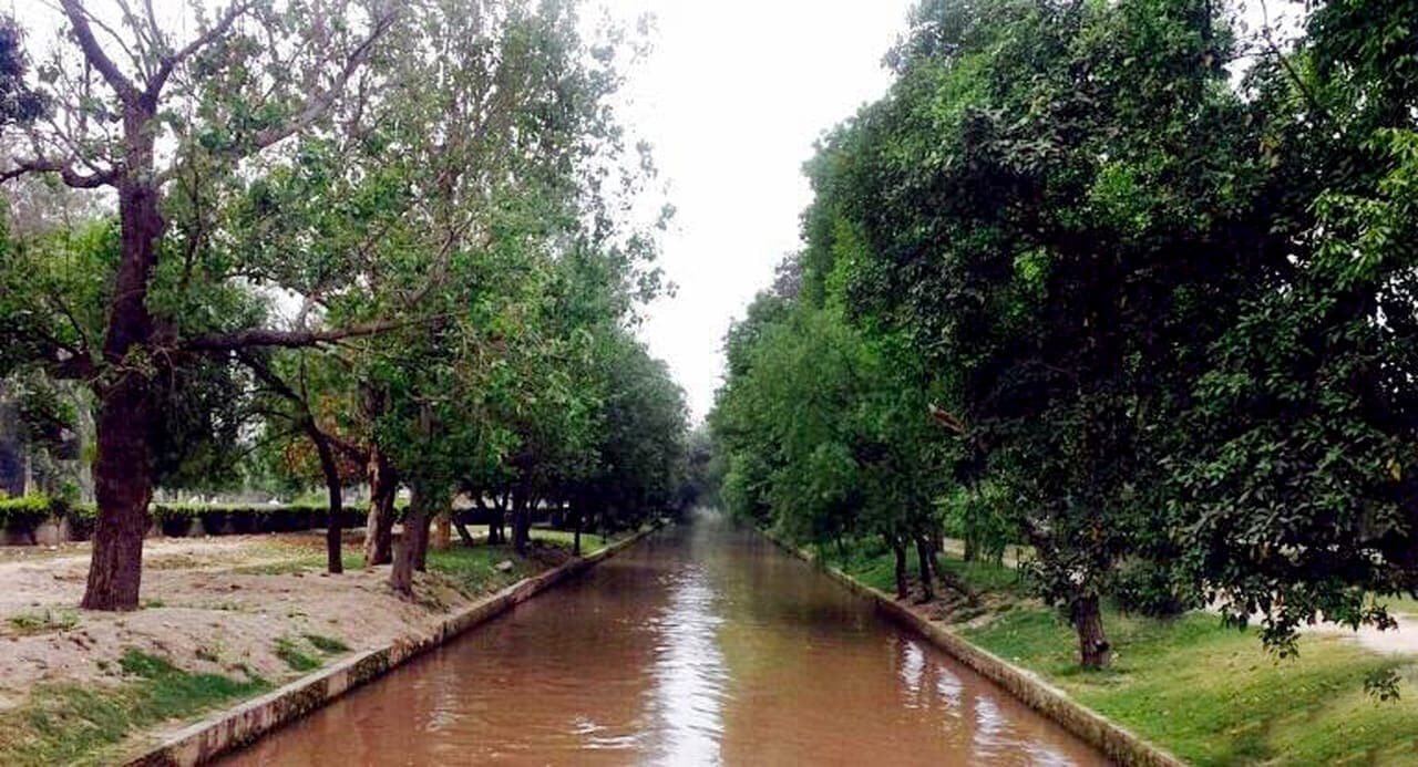 NESPAK completes geo-tagging of trees along Lahore Canal - Pakistan ...