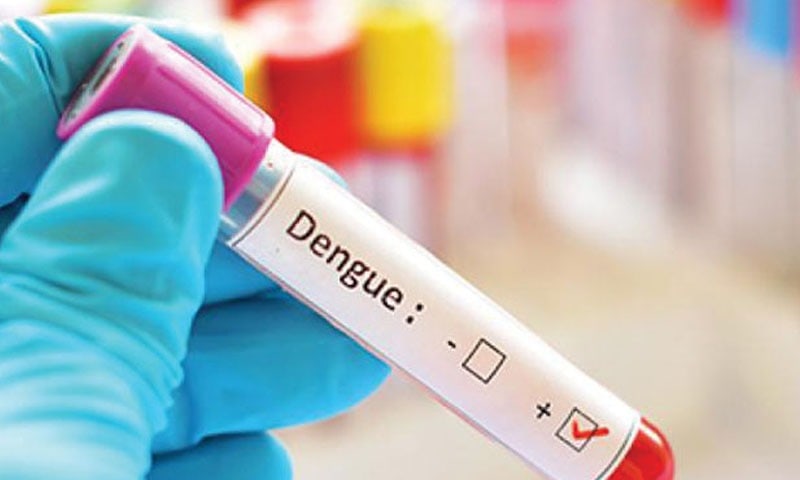 Dengue surge in Rawalpindi as city reports 20 new cases in last 24 ...