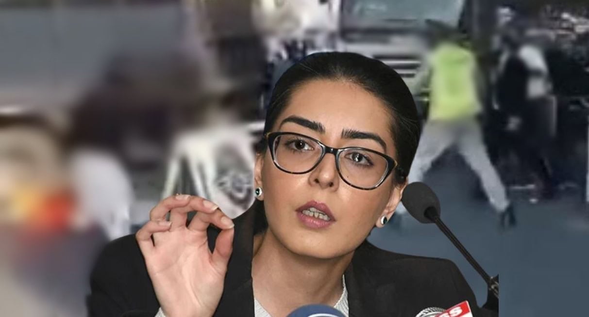 NCCIA submits challan against Imaan Mazari, Hadi Ali Chatha in tweet case - Pakistan Observer