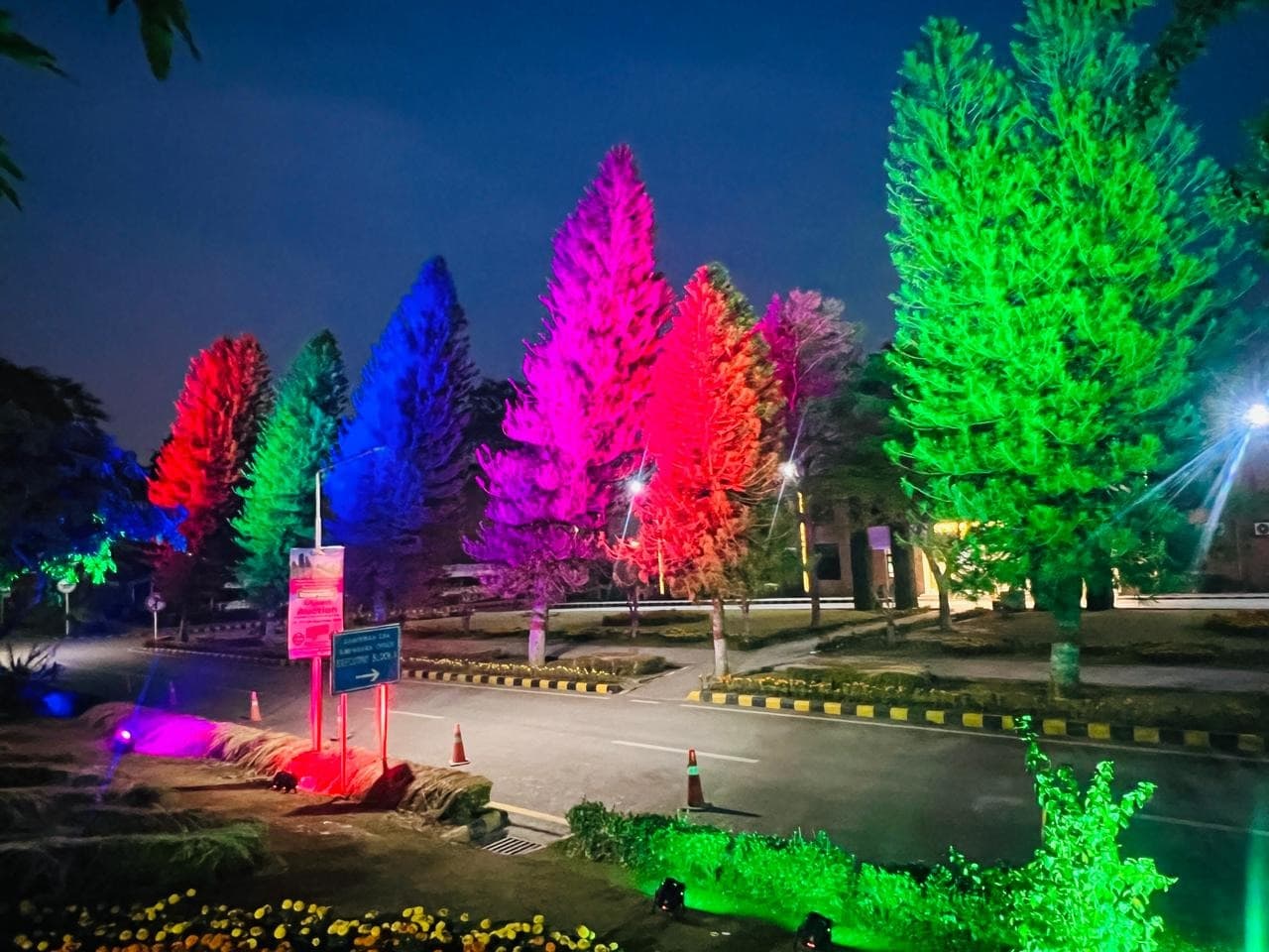 Red carpet, JF-17 Thunder flaypast: UAE President Sheikh Mohammed bin ...