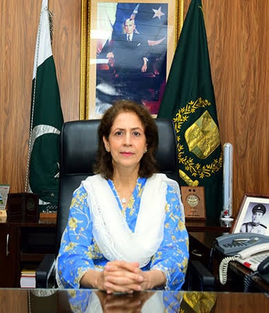 Ambreen Jan named new PEMRA Chairperson - Pakistan Observer